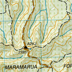 MARAMARUA FOREST, Waikato - NZ Topo Map