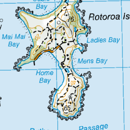 Rotoroa Island, Auckland - NZ Topo Map
