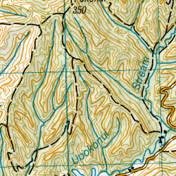 Pukenui, Manawatu-Wanganui - NZ Topo Map