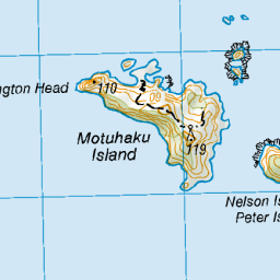 Motuhaku Island, Auckland - NZ Topo Map