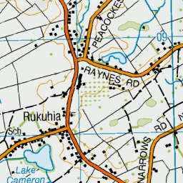 Lake Cameron, Waikato - NZ Topo Map