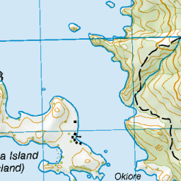 Rangiahua Island (Flat Island), Auckland - NZ Topo Map