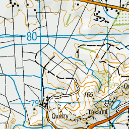 Tokanui, Waikato - NZ Topo Map
