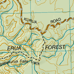 ERUA FOREST, Manawatu-Wanganui - NZ Topo Map