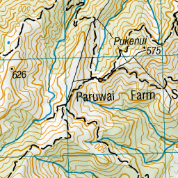 Pukenui, Wellington - NZ Topo Map