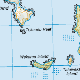Tataweka Island, Waikato - NZ Topo Map