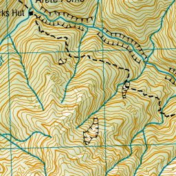 Arete Forks Hut, Wellington - NZ Topo Map