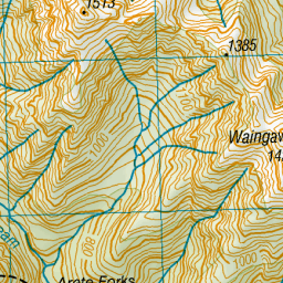 Arete Forks, Wellington - NZ Topo Map