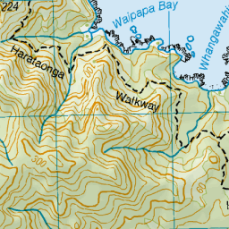 Waipapa Bay, Auckland - NZ Topo Map