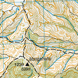 Mangamahu, Manawatu-Wanganui - NZ Topo Map
