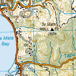 Tapu River, Waikato - NZ Topo Map