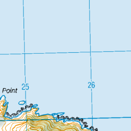 Hautapu Point, Auckland - NZ Topo Map