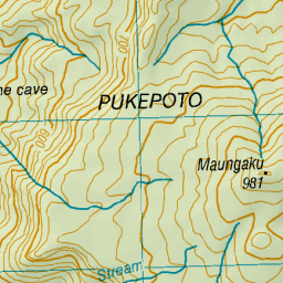 PUKEPOTO FOREST, Manawatu-Wanganui - NZ Topo Map