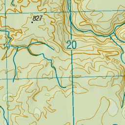 PUREORA FOREST, Manawatu-Wanganui - NZ Topo Map