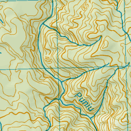 Puniu River, Waikato - NZ Topo Map