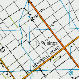 Te Puninga, Waikato - NZ Topo Map