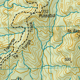 Pukeatua, Waikato - NZ Topo Map