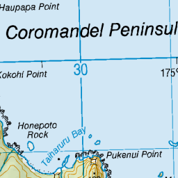 Pukenui Point, Waikato - NZ Topo Map