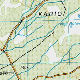 KARIOI FOREST, Manawatu-Wanganui - NZ Topo Map