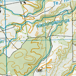Waipungapunga Stream, Waikato - NZ Topo Map