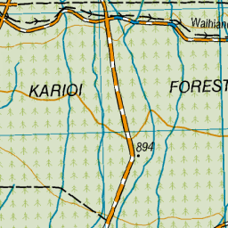 KARIOI FOREST, Manawatu-Wanganui - NZ Topo Map