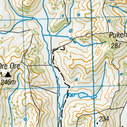 Pukehinau, Wellington - NZ Topo Map