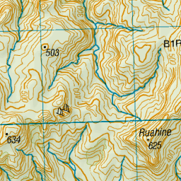 Ruahine, Waikato - NZ Topo Map