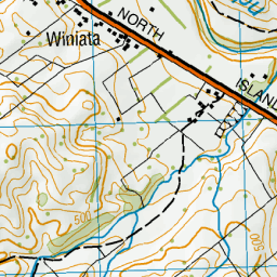 Winiata, Manawatu-Wanganui - NZ Topo Map
