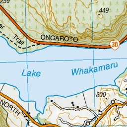 Lake Whakamaru, Waikato - NZ Topo Map