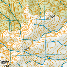 Patutu, Waikato - NZ Topo Map