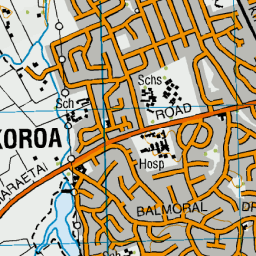 TOKOROA, Waikato - NZ Topo Map