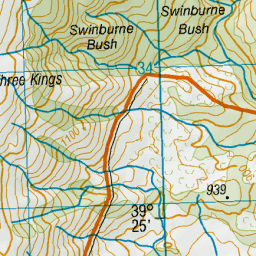 Swinburne Bush, Manawatu-Wanganui - NZ Topo Map