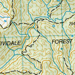 TIVIDALE FOREST, Wellington - NZ Topo Map