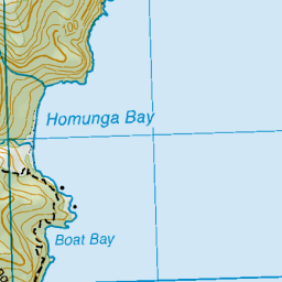 Homunga Bay, Waikato - NZ Topo Map