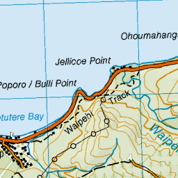 Bulli Point, Waikato - NZ Topo Map