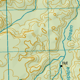 Waipapa Stream, Bay of Plenty - NZ Topo Map