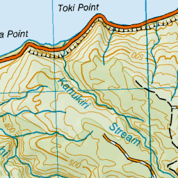 Toki Point, Waikato - NZ Topo Map