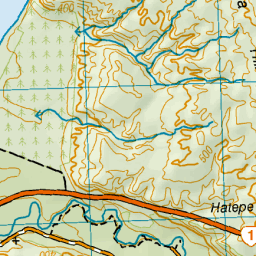 Hatepe Hill, Waikato - NZ Topo Map