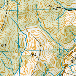 Tamaki River East Branch, Manawatu-Wanganui - NZ Topo Map