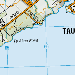 Te Akau Point, Waikato - NZ Topo Map