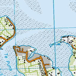 Te Puna Estuary, Bay of Plenty - NZ Topo Map