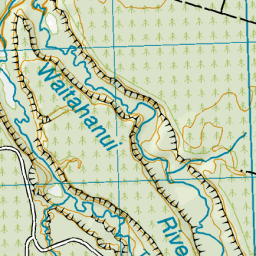 Waitahanui River, Waikato - NZ Topo Map