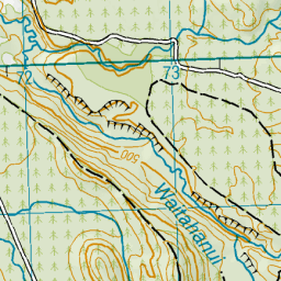 Waitahanui River, Waikato - NZ Topo Map