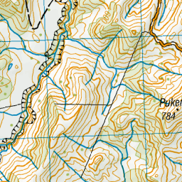 Pukenui, Hawke's Bay - NZ Topo Map