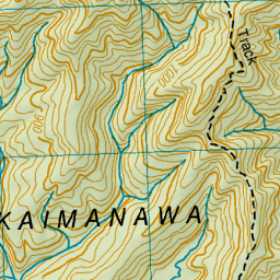 KAIMANAWA FOREST, Hawke's Bay - NZ Topo Map