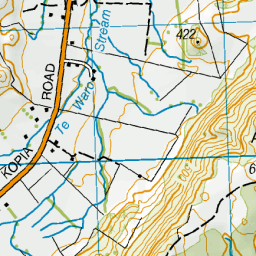 PAEROA RANGE, Waikato - NZ Topo Map