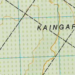 KAINGAROA FOREST, Bay of Plenty - NZ Topo Map