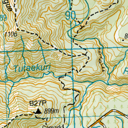 Tutaekuri River, Hawke's Bay - NZ Topo Map