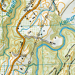 Mangorewa River, Bay of Plenty - NZ Topo Map