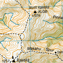 North Kaweka, Hawke's Bay - NZ Topo Map